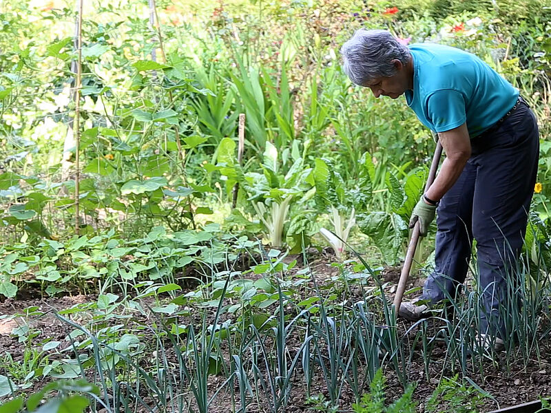 Les jardins partagés - Ville de Millau